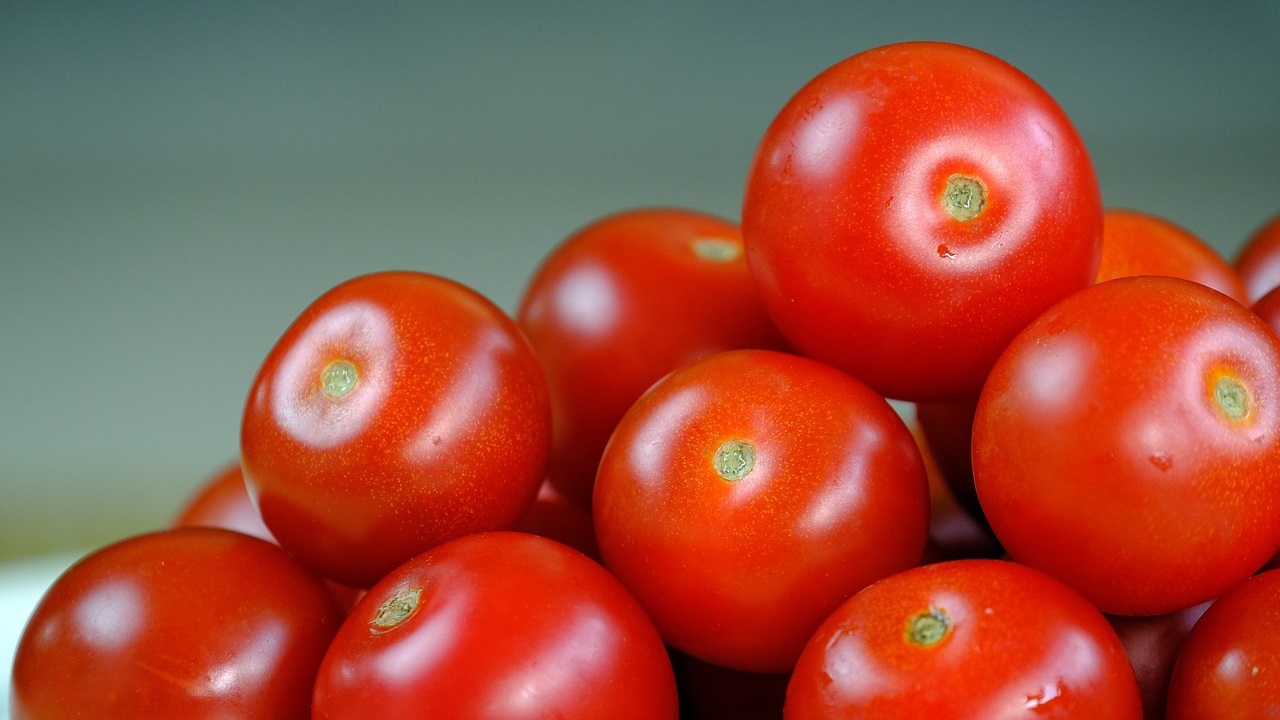 Challenges and Guidelines to Reduce Postharvest Losses in Tomatoes