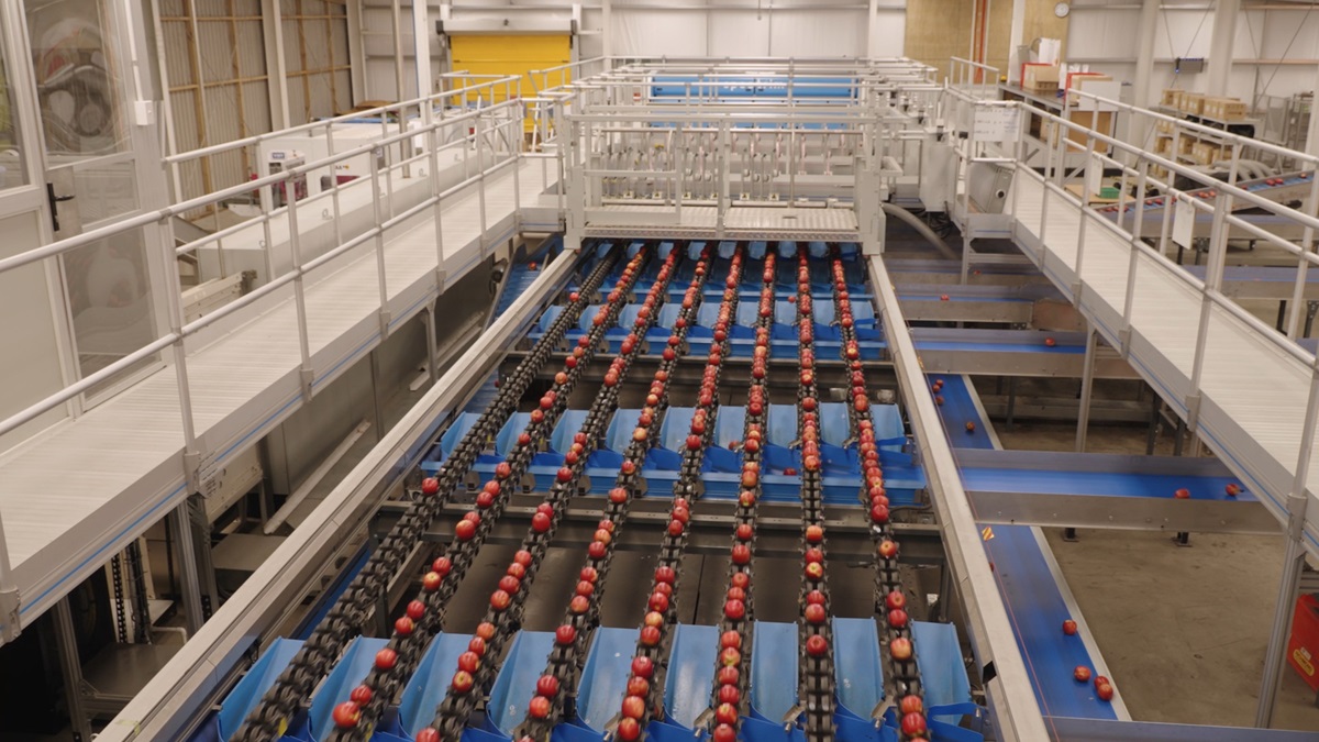 Freshco improved the efficiency of the apple grading process with TOMRA ...