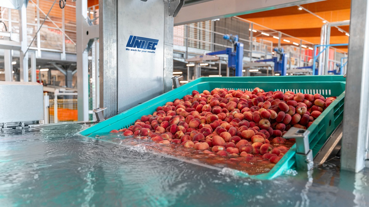 UNITEC developes a specific immersion robot for bins