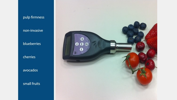 A Wide Range of Durometers for Non-Destructive Assessment of Ripeness ...