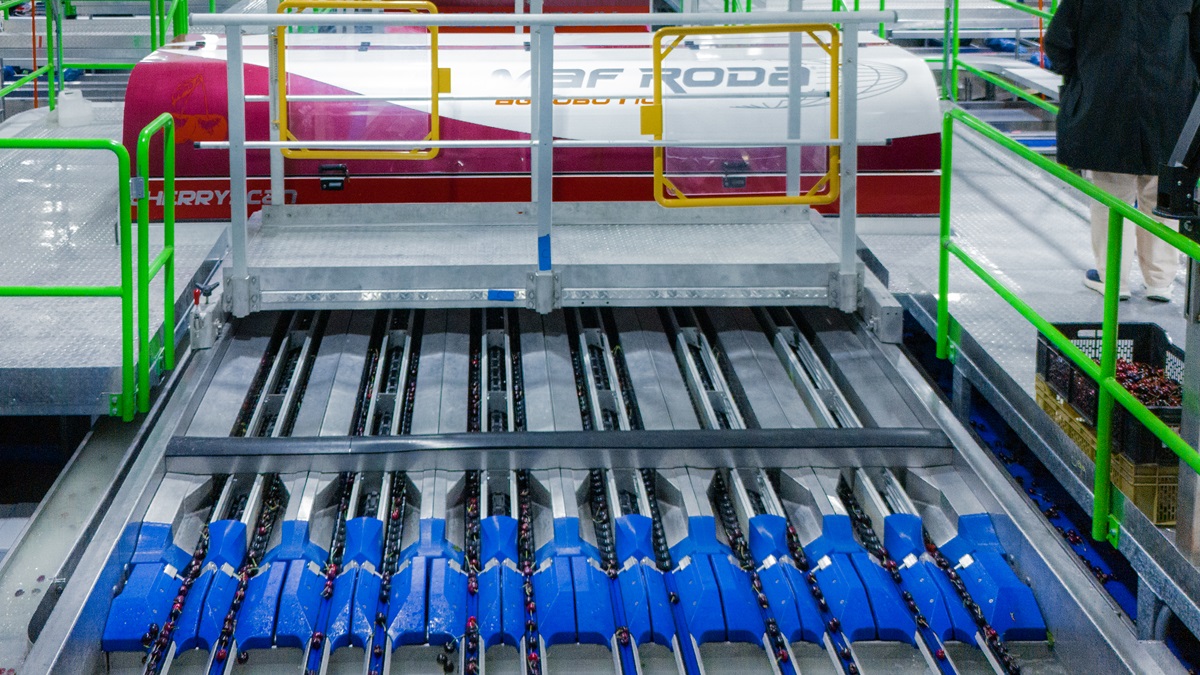 MAF RODA: Challenges and Opportunities in the Postharvest Sector for 2025