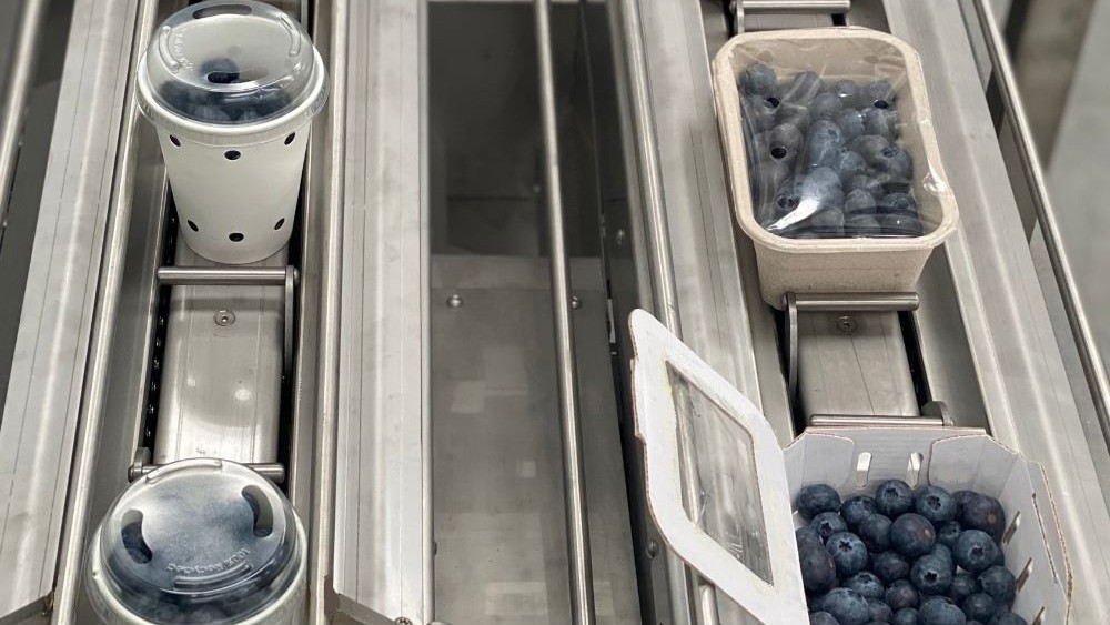 Different blueberry cultivars need tailored postharvest strategies
