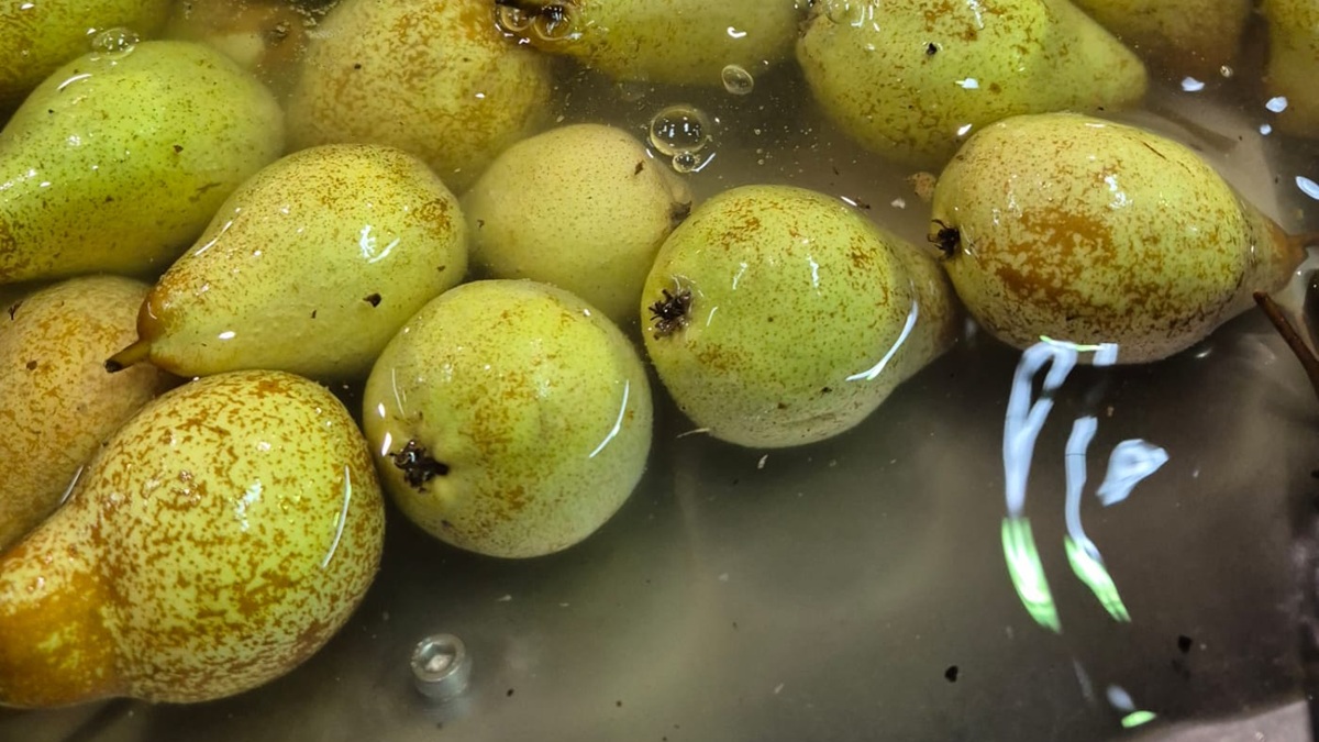 Citrocide® Fresh-Fruit System: Safe, Sustainable, and Effective ...