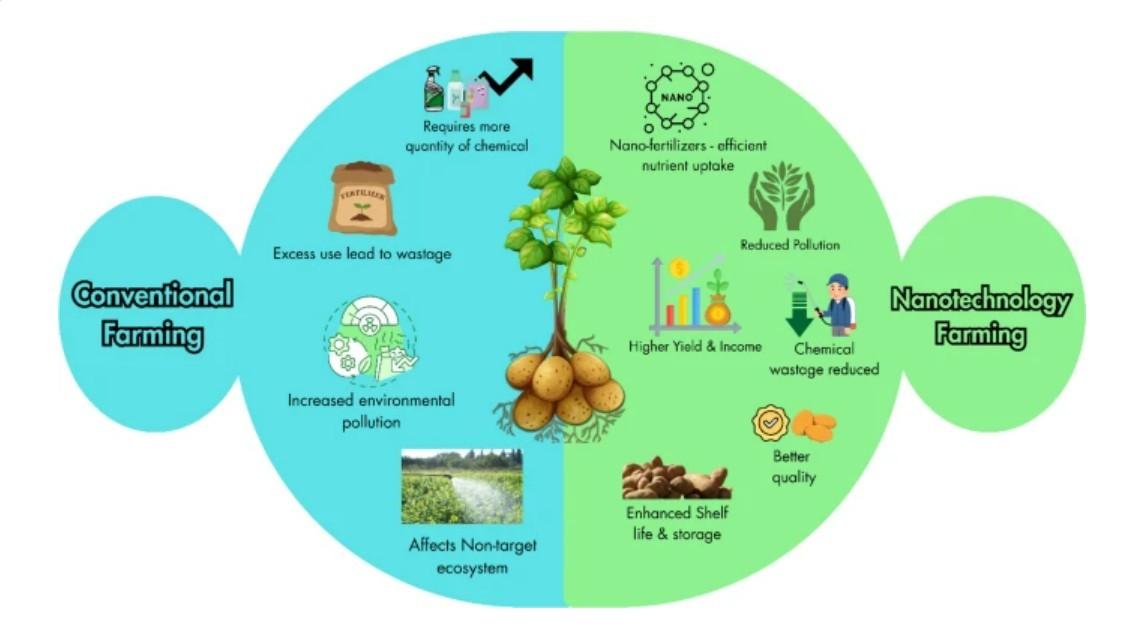 Nanotechnology options for potato production and potharvest improvement
