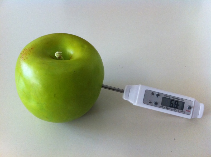 42413, pocket thermometer for the pulp of the fruit