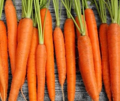 Kalfresh, large carrot grower and packer values collaborative approach