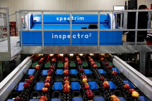 High-tech grading of pears, kiwi, accurate inspection system, snack ...