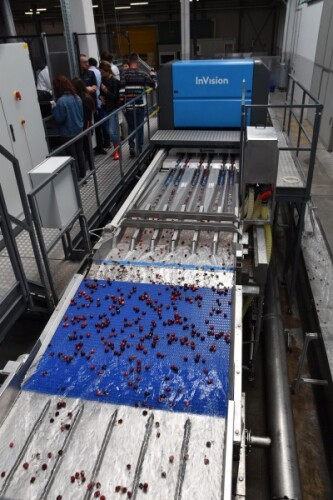Compac InVision Total View cherry sorting technology saves the day for ...