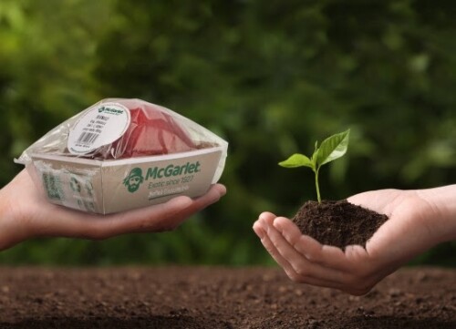 Spotlight keeps fresh produce innovation in focus