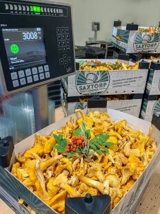 Food safety, clean cutting, updated packaging, and control of the packaging