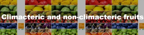 Climacteric and non-climacteric fruits