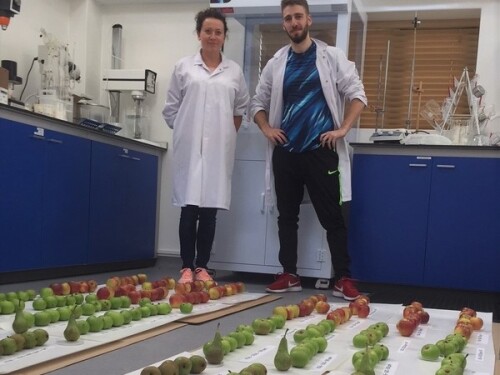 AGRICOAT NATURESEAL advances fresh produce shelf life