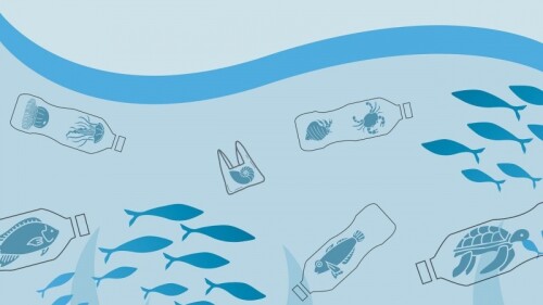 Giró joins the Operation Clean Sweep® initiative to prevent the ...