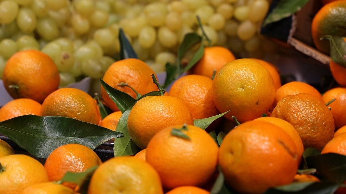 Tips for proper citrus degreening