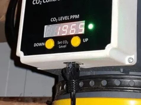 CO2 extractor for potato storage