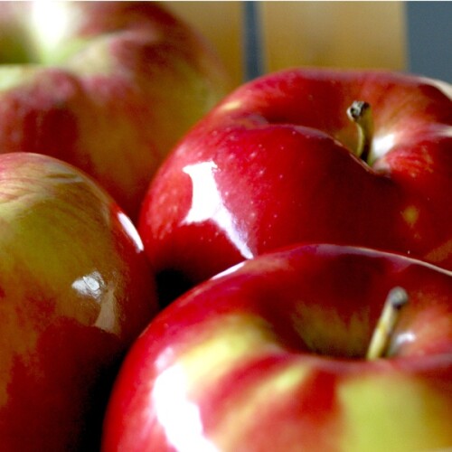Xedafos L, solvent wax for fruits