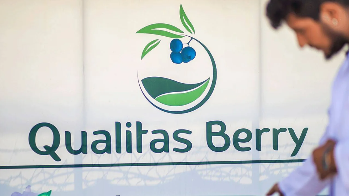 Berry market leader automates labeling