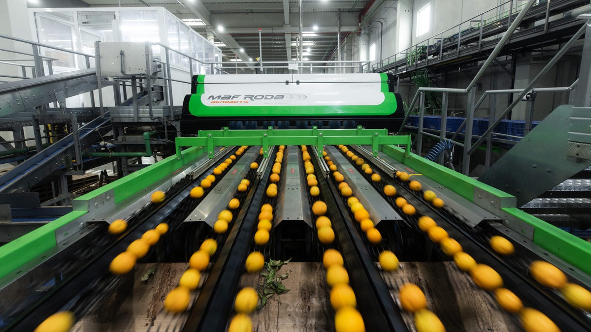 MAF RODA Showcases Its AI Quality Systems Catalogue at Fruit Attraction ...
