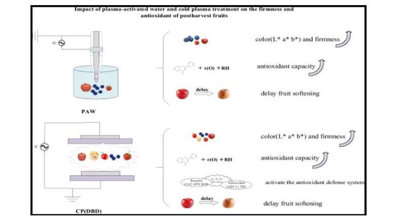 Effect of plasma treatments on fruit firmness, color, and antioxidant ...