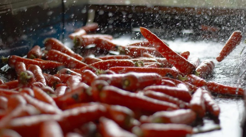 Optimized Water Use: Wyma’s 3-Stage Recycling System for Sustainable ...
