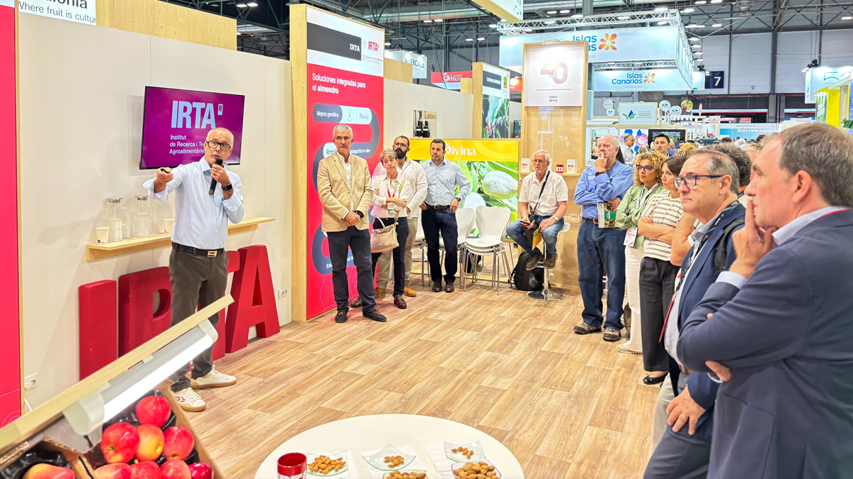 IRTA presents DIVINA, a new variety of almond tree