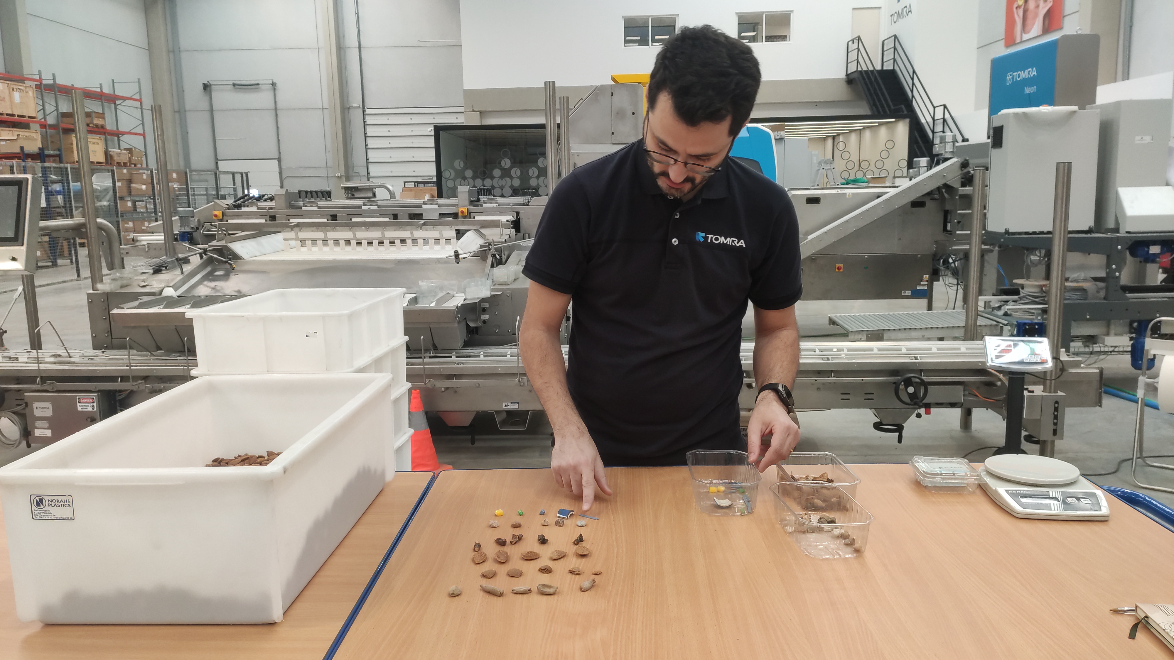 Precision and efficiency in almond sorting