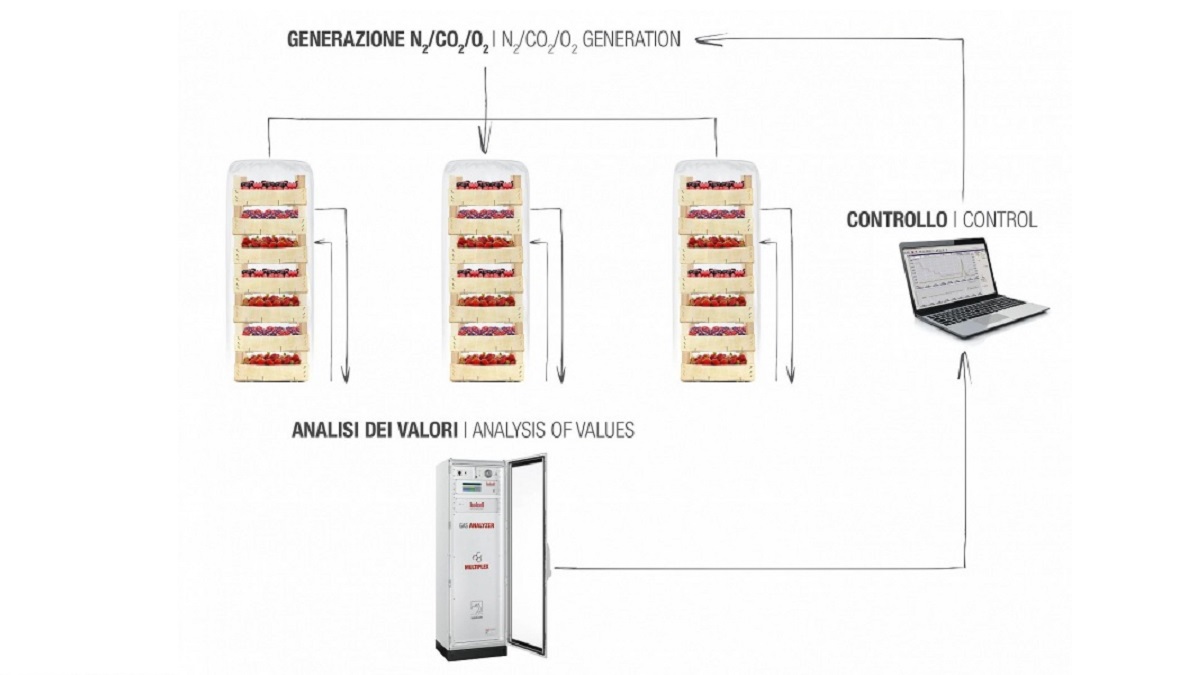 PAL-STORE SYSTEMS, quality and flexibility for berries, and other ...