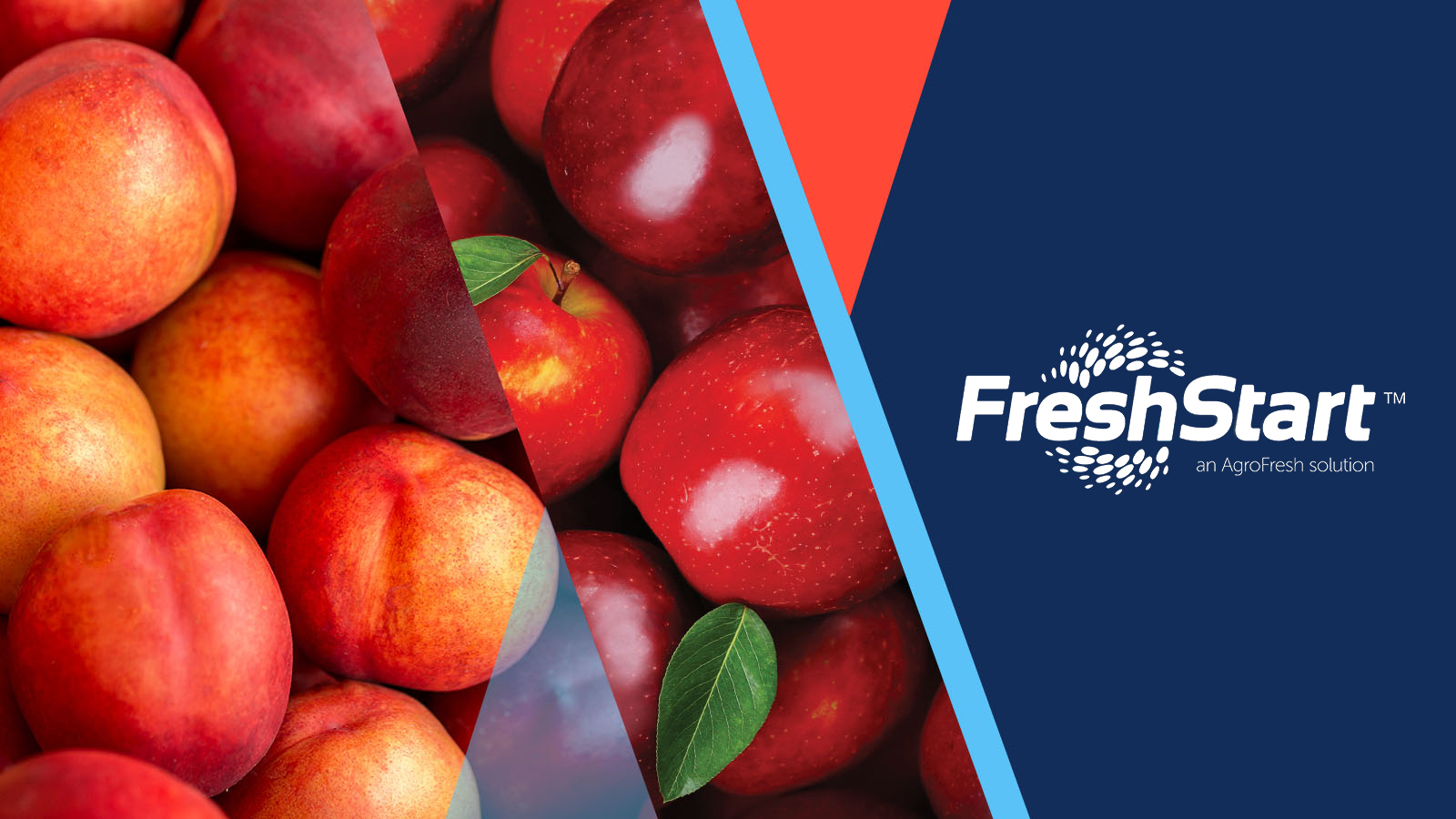 FreshStart™, detergents and disinfectants help you deliver cleaner ...