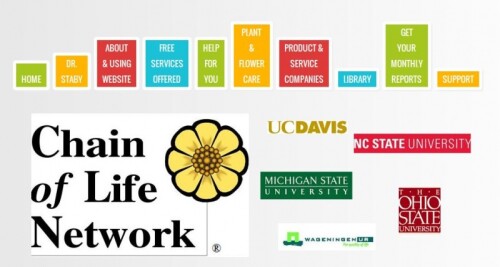 Chain of Life Network? website counts on a fully renewed web site