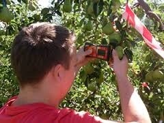 DA meter measurements benefit from a protocol to avoid sun-stressed and ...