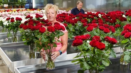 Prototype to monitor and predict quality of roses - First module completed