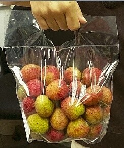 Hi Tech Packaging for preserving freshness and colours in Lychee fruit
