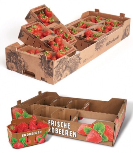 Innovative packaging for berries and stone fruits that improves the air ...