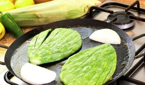 Infrared radiation resulted in higher dehydration in tomato and nopal ...