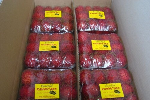 Good behaviour of rambutan in different packaging