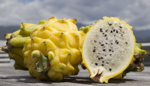 Sodium bicarbonate (SBC) significantly reduced black rot in yellow ...