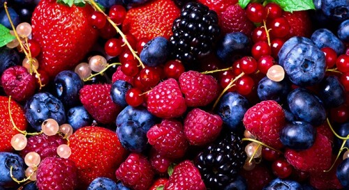A review about berries phenolic profiles during developement and ...