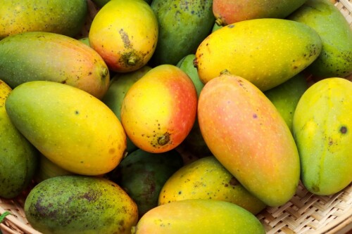 Understanding the Physiology of Mango?Ripening