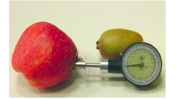 Fruit penetrometer for apples, pears, peaches, etc.