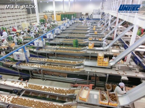 Unitec presents its new technologies for sorting and packing fresh ...