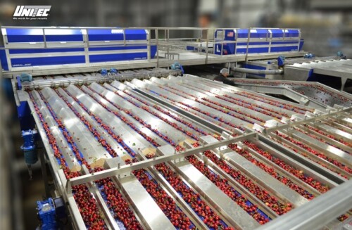 UNITEC Technology at the International Cherry Symposium 2013