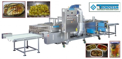 Tecnoceam Grill Oven allows a range of outputs