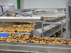 Potato Packing Sheds In North America Put Their Handling In Wyma?s Hands